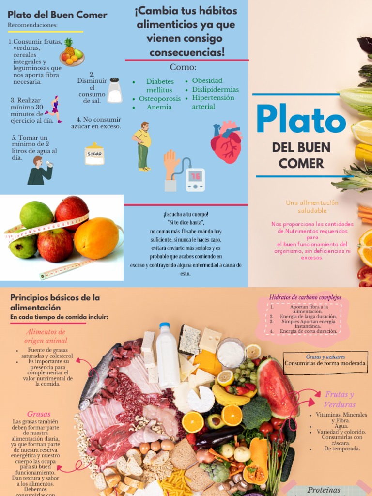 Tríptico Plato Del Buen Comer | PDF | Alimentos | Cereales