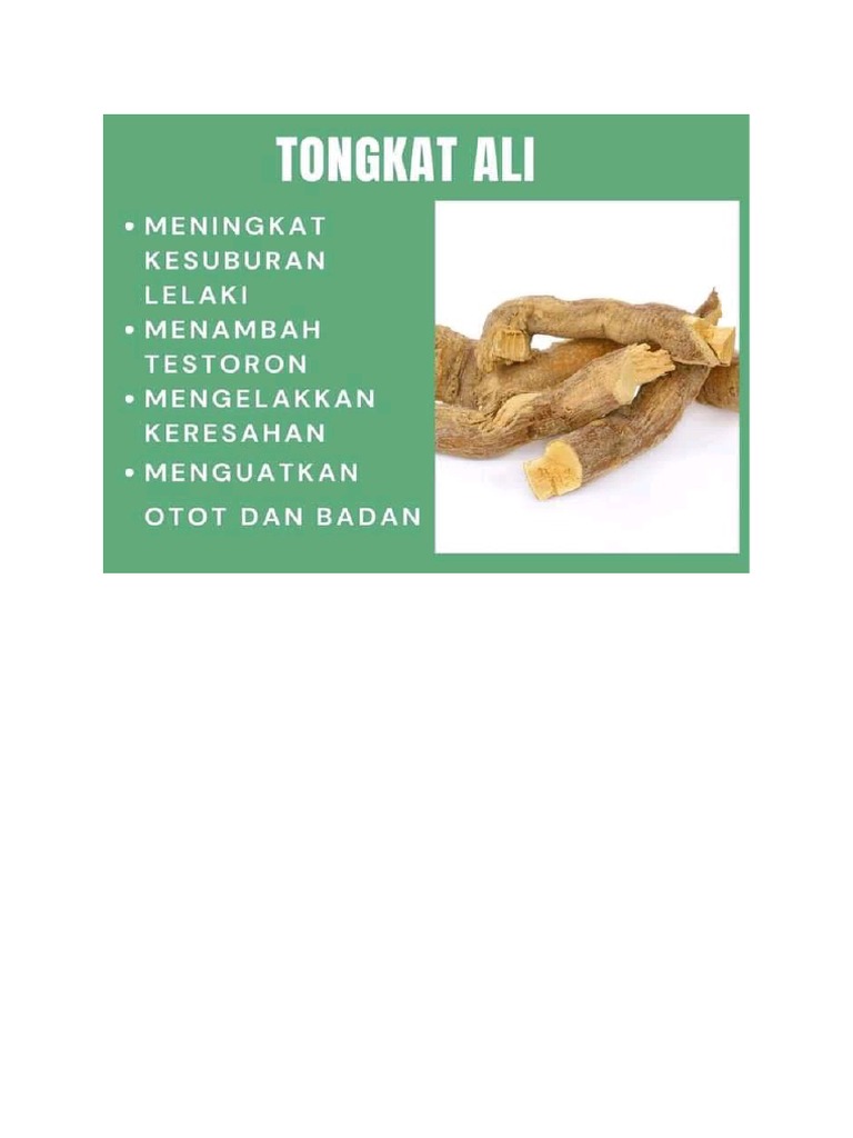 Tongkat Ali | PDF