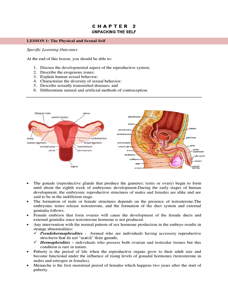 UTS - Chapter 2, Lesson 1 | PDF | Sexual Intercourse | Reproductive System
