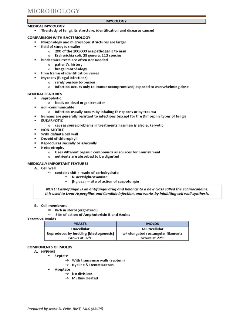 Medical Mycology Overview | PDF | Virus | Candidiasis