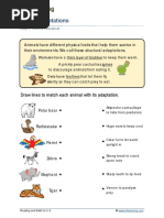 Types of Animals: Grade 2 Science Worksheet | PDF