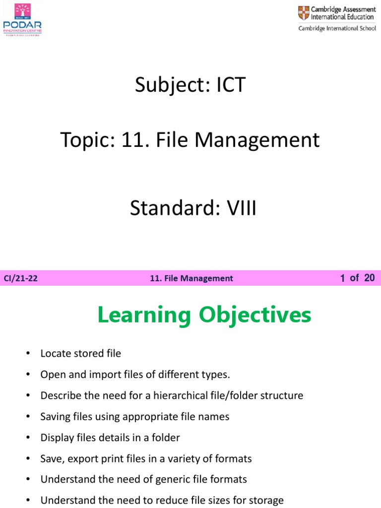 CAIE - VIII - ICT - File Management | PDF | Computer File | File Format
