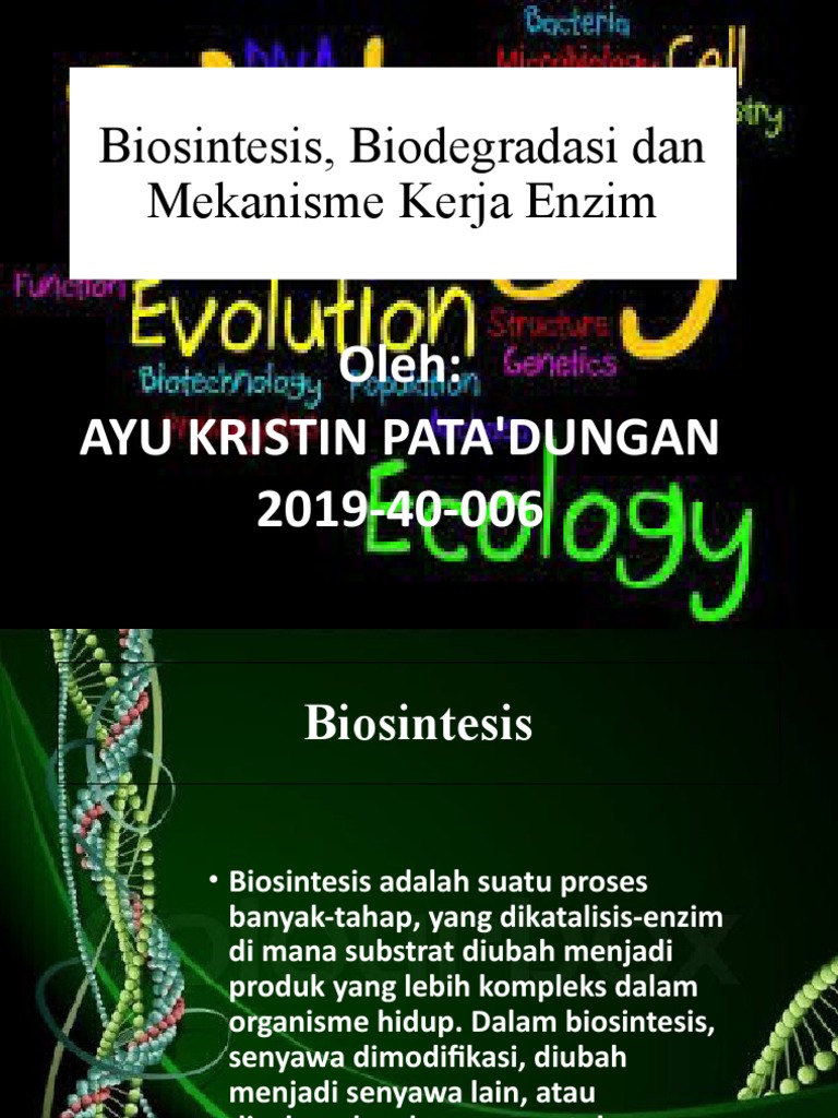Biosintesis Biodegradasi Dan Mekanisme Kerja Enzim | PDF
