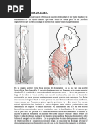 Diapositiva tema 10 biología celular | PDF | Retículo endoplásmico | Biología Molecular
