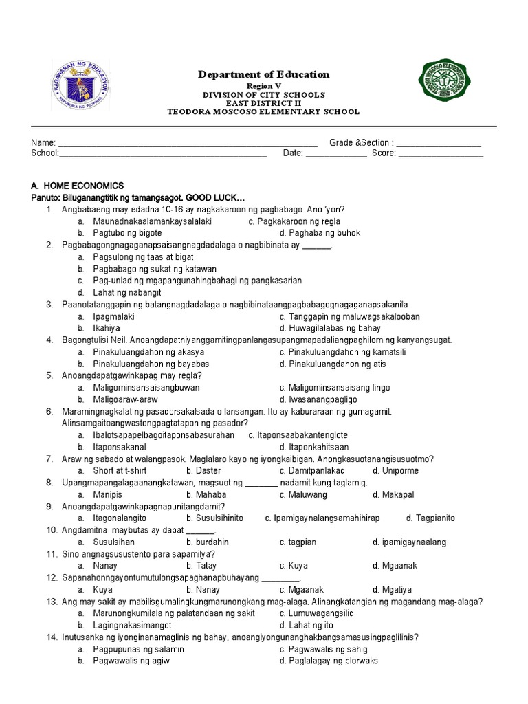 Grade 5 First Periodical Test in EPP | PDF