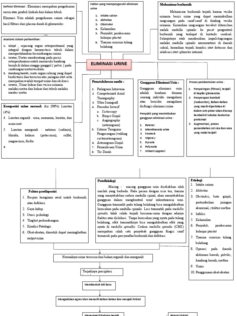 WOC Eliminasi Urine New | PDF