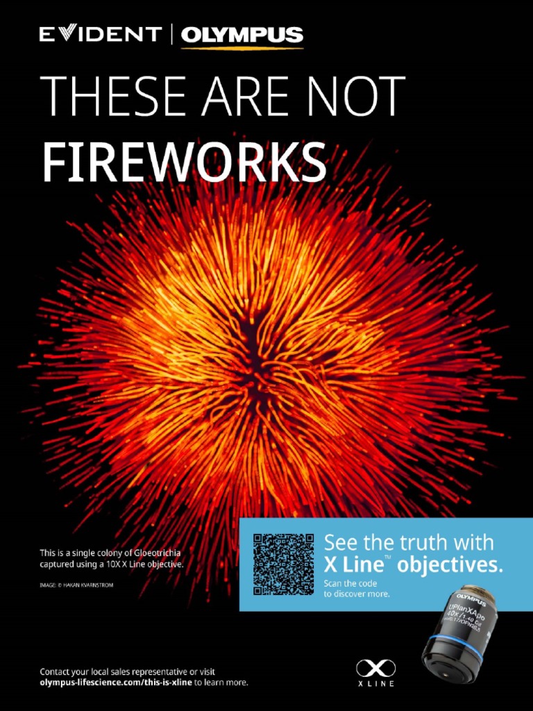 Journal of Microscopy - 2021 - Jiang - Workflow For High Resolution ...