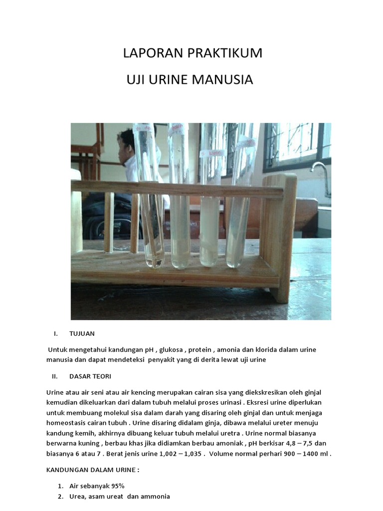 Uji Urine: Analisis Kesehatan Manusia | PDF | Sains & Matematika