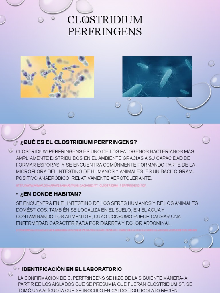 Clostridium Perfringens | PDF | Enfermedades transmitidas por alimentos ...