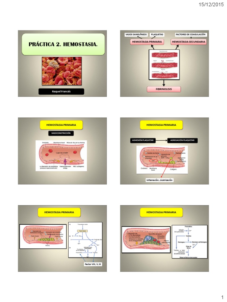 HEMOSTASIA | PDF | Hemostasia | Plaqueta