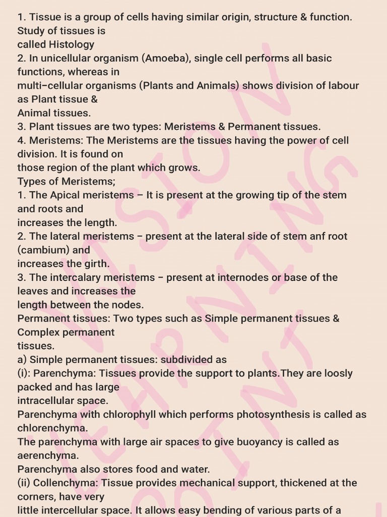 Vision Learning Point Class 9TH Biology Notes - 221024 - 221720 | PDF