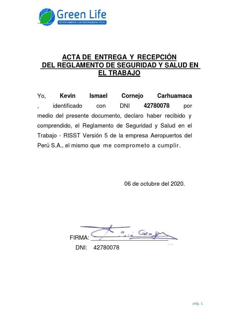 Cargo RISST V.5 - GREEN PERSONAL | PDF | Documento | Aplicaciones de la criptografía