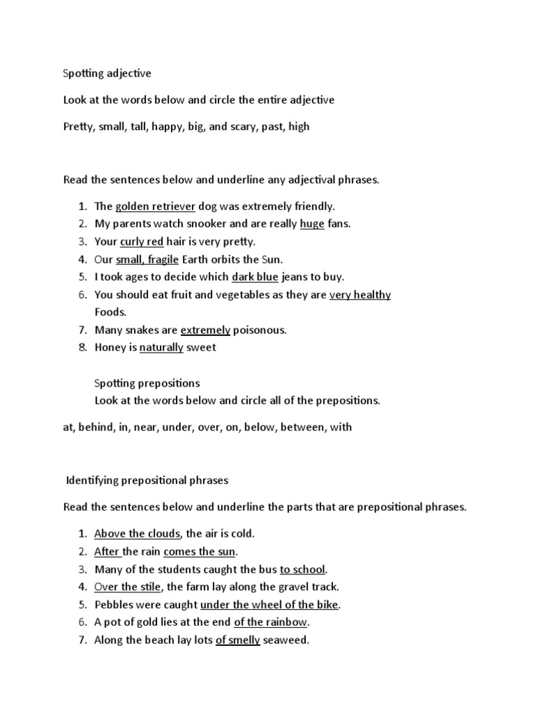 Expanding Noun Phrases | PDF | Adjective | Linguistic Morphology