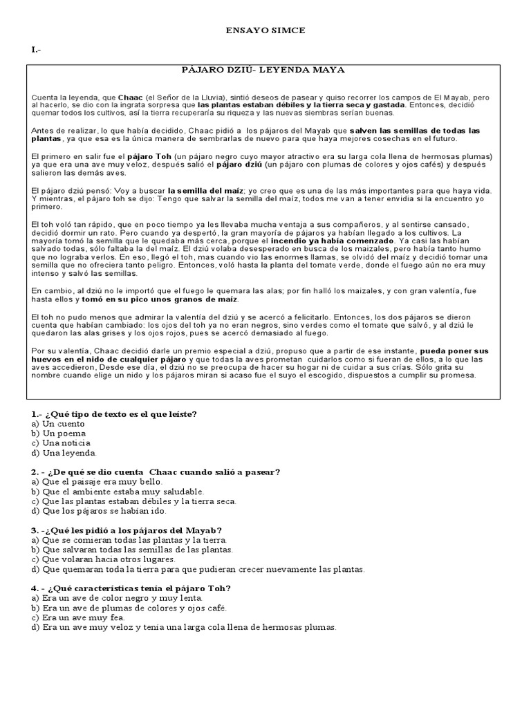 Ensayo Armado 2 | PDF | Panes | Aves