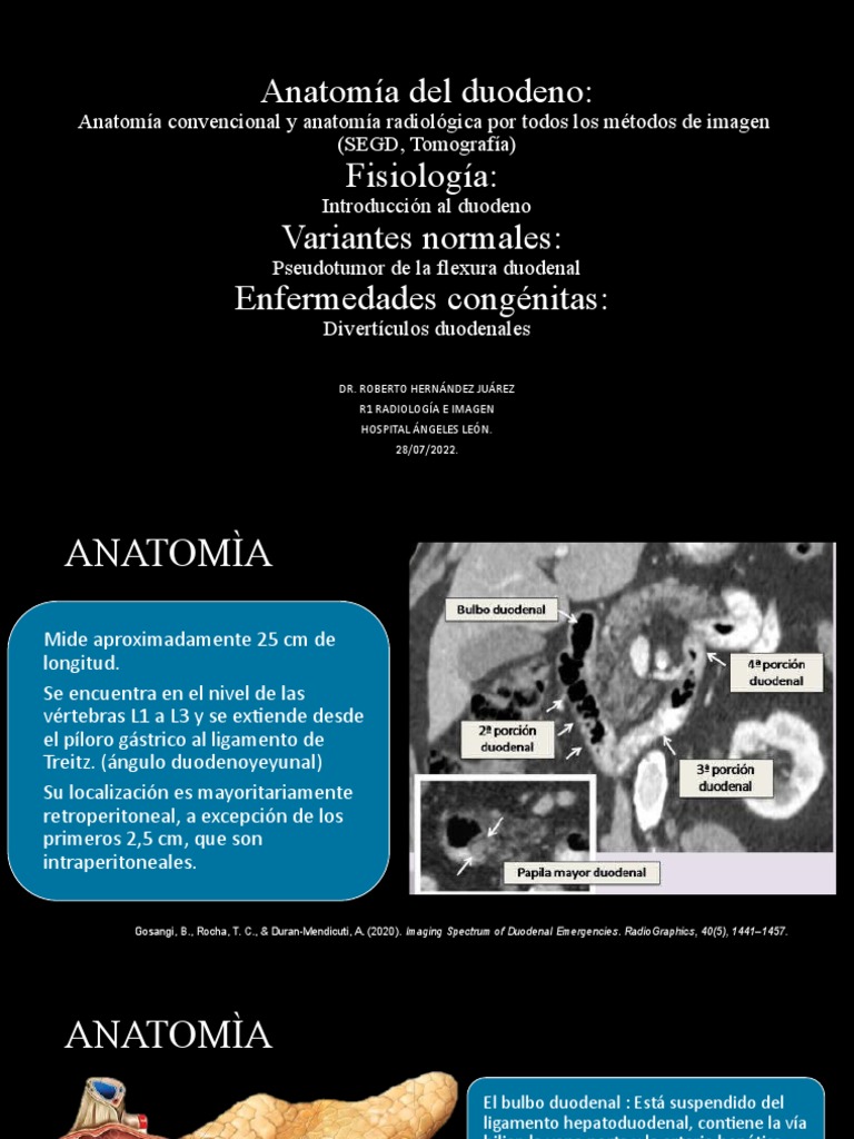 Anatomía del Duodeno: Estructura y Función | PDF | Tracto ...