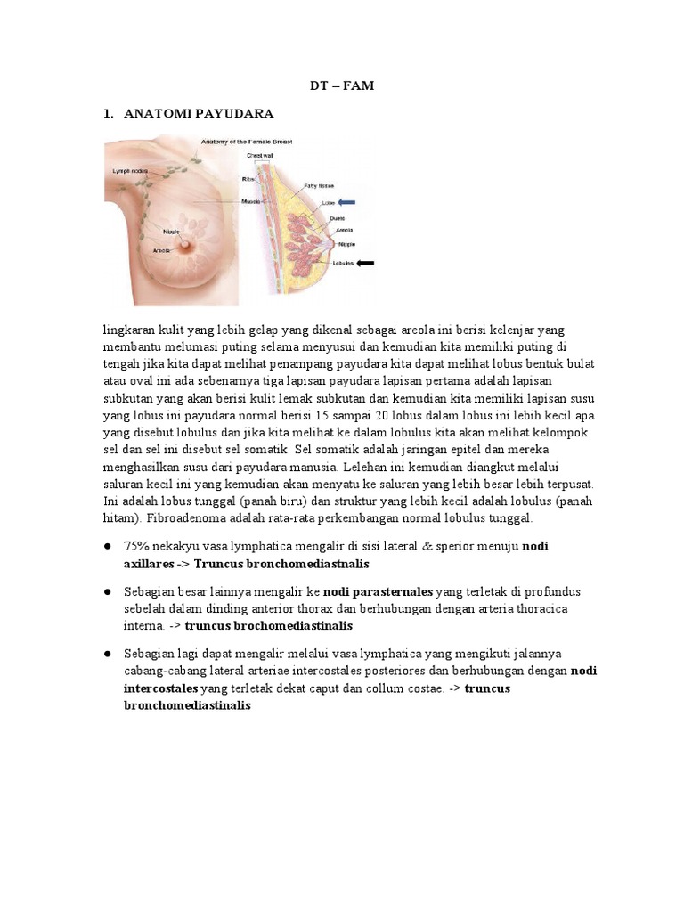 DT - Fam 1. Anatomi Payudara | PDF