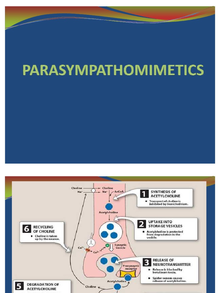 Classification and Mechanisms of Action of Parasympathomimetic Drugs ...
