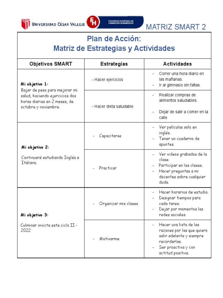 MATRIZ SMART II - Tagged | PDF
