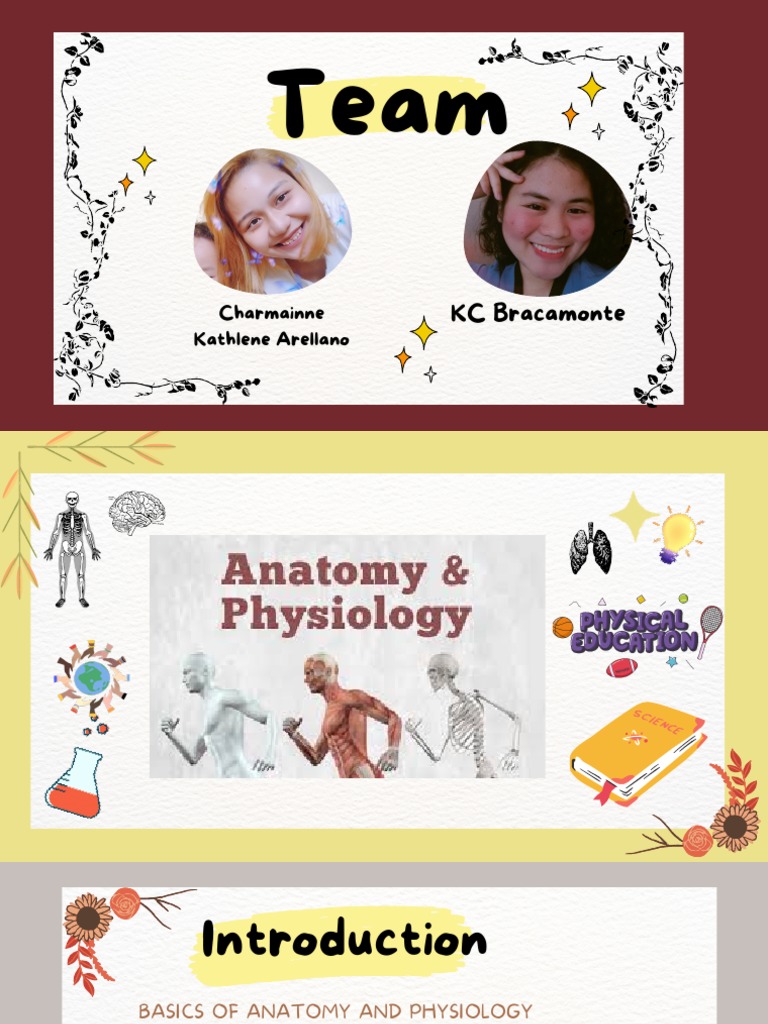 Basic Anatomy and Physiology | PDF | Human Musculoskeletal System ...