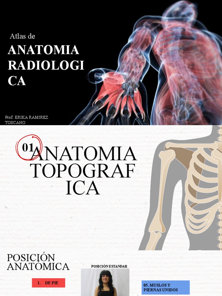 Atlas - Anatomía Radiologica | PDF | Mano | Anatomía