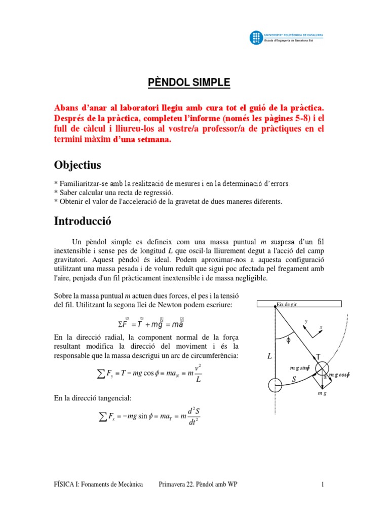 Pèndol Simple | PDF