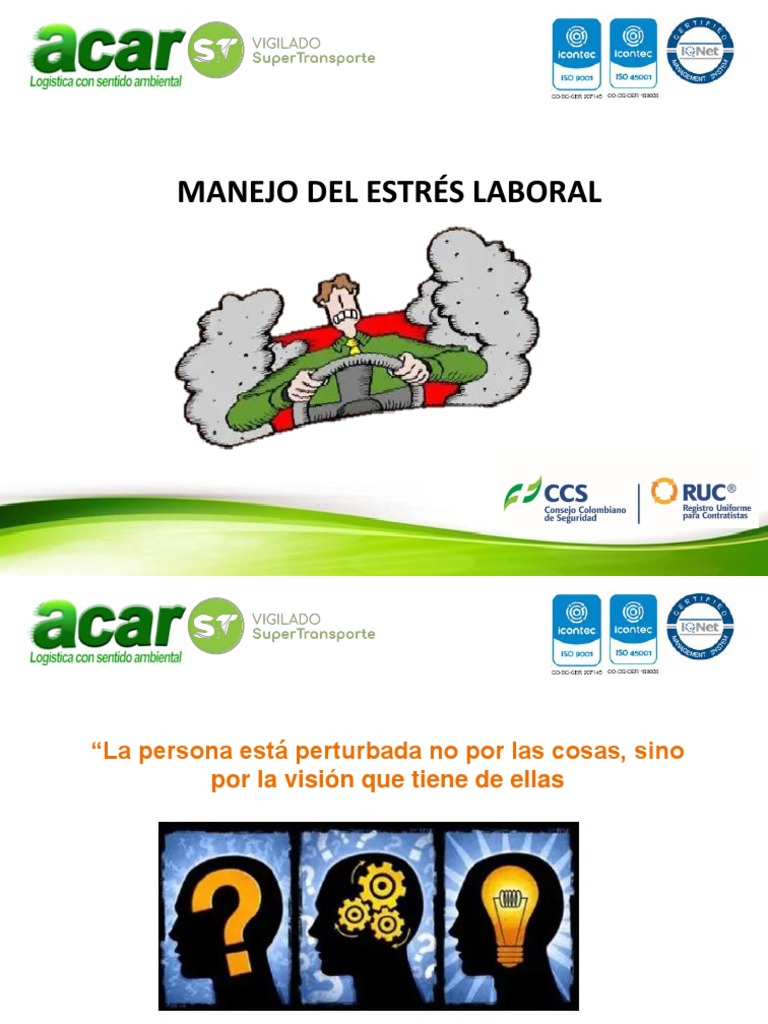 Estrategias para Manejar el Estrés Laboral | PDF | Estrés (biología ...