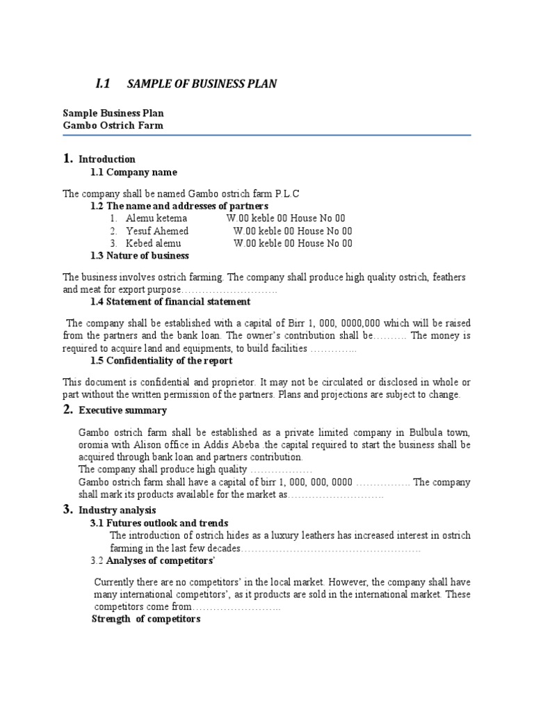 Business Plan | PDF | Balance Sheet | Cash Flow Statement