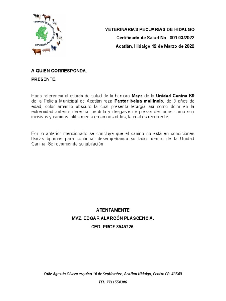Certificado de Salud Perro | PDF | Causas de la muerte | Medicina CLINICA