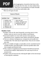 Urine Casts: A Detailed Guide | PDF | Clinical Medicine | Kidney