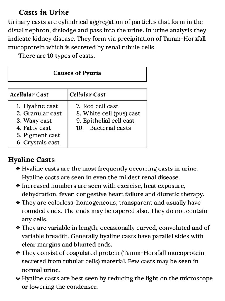 Urine Analysis | PDF | Anatomy | Clinical Medicine