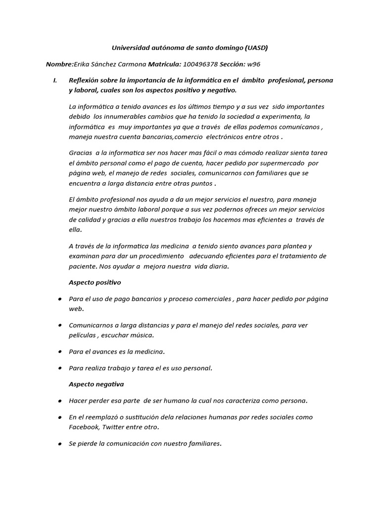 Reflexion de Informatica | PDF