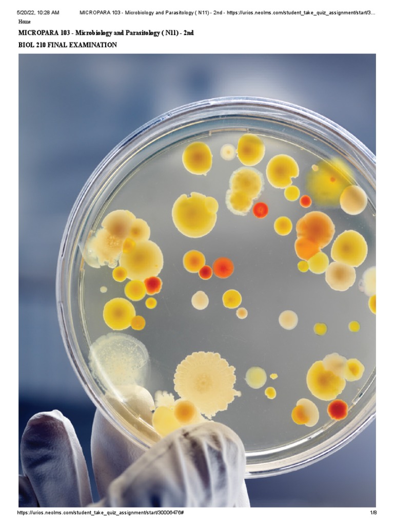 MICROPARA | Download Free PDF | Infection | Microbiology