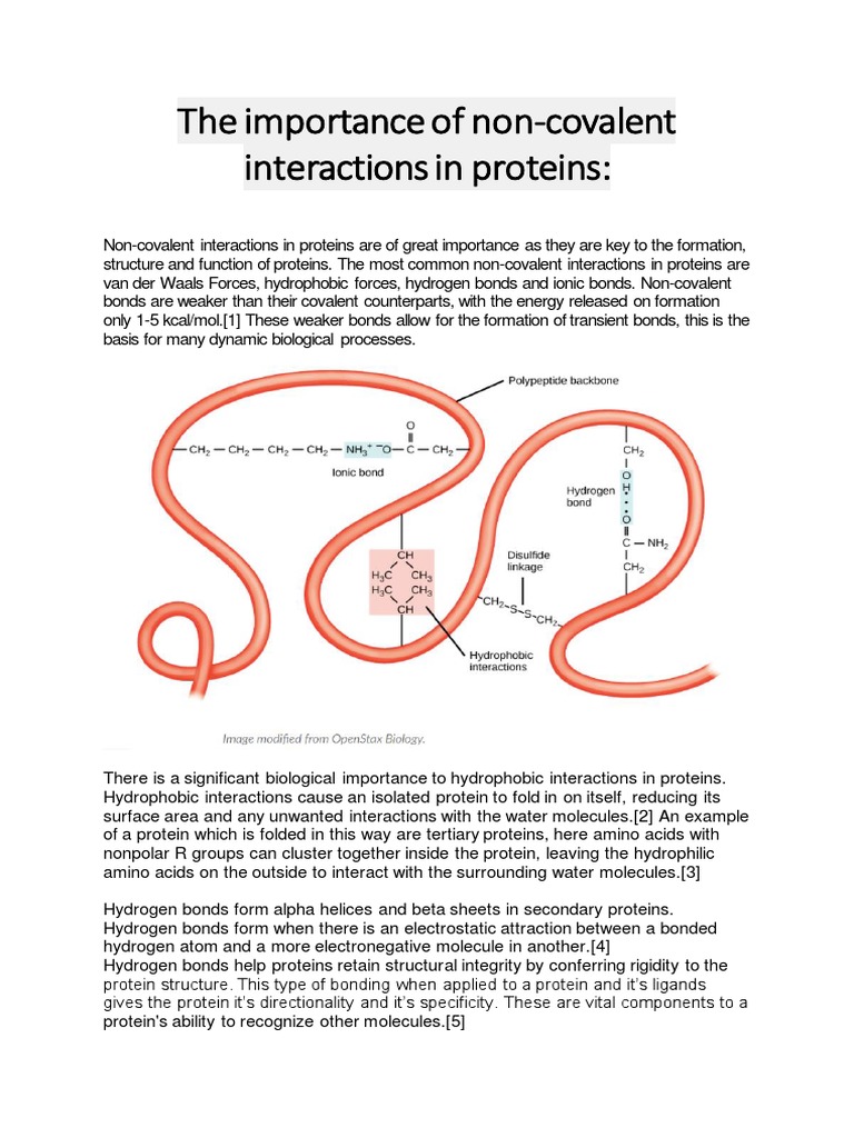 The Role of Non-Covalent Interactions in Determining Protein Structure ...