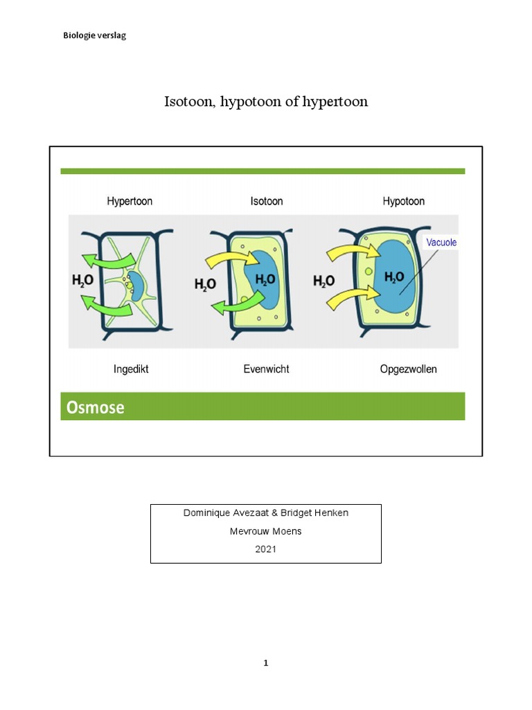 Verslag Osmose | PDF