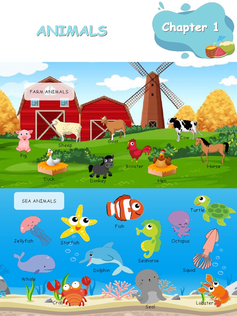 Fun Basic English Book 2 | PDF