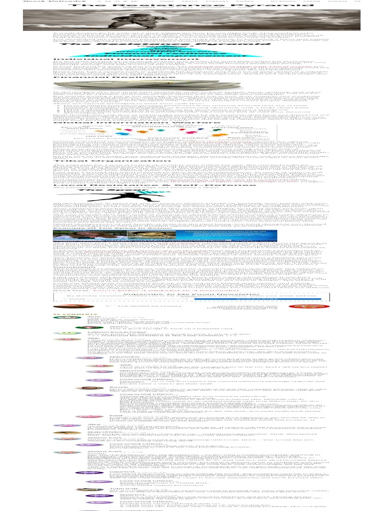 The Resistance Pyramid | PDF | Internet | Psychological Resilience