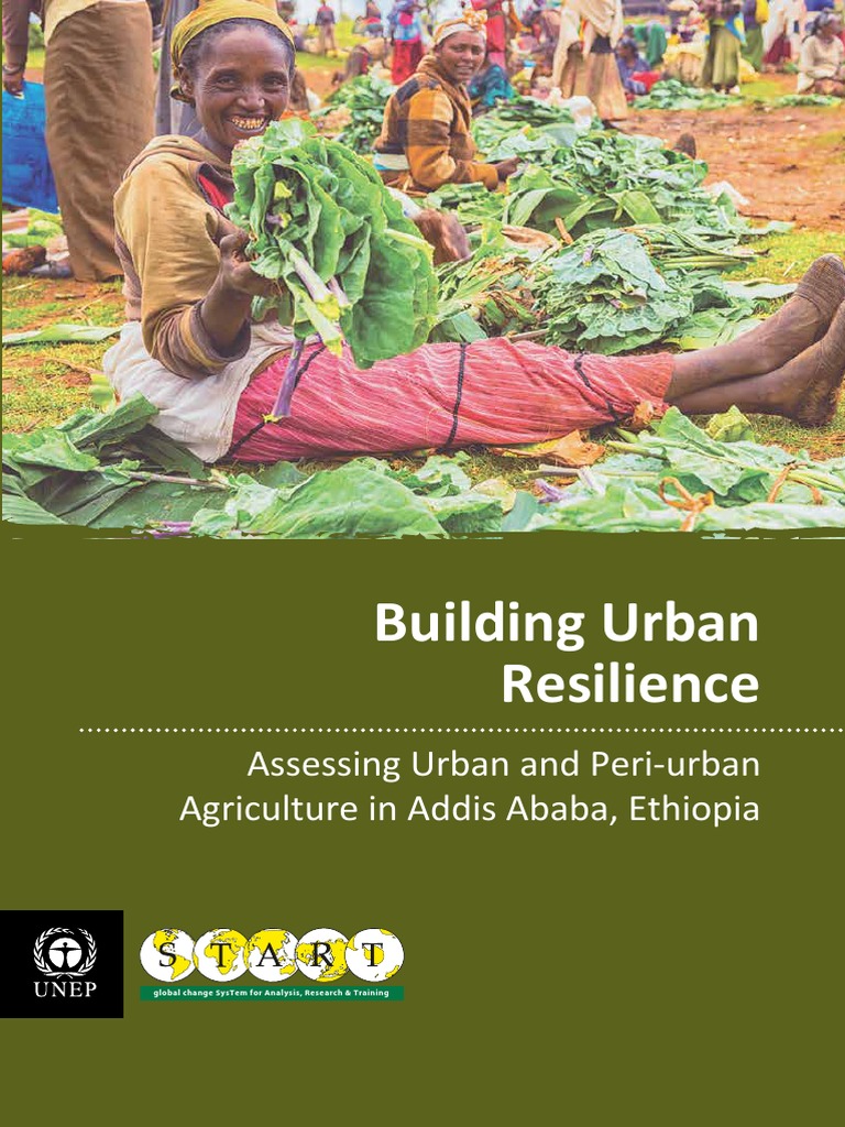 Building Urban Resilience Assessing Urban and Peri-Urban Agriculture in ...