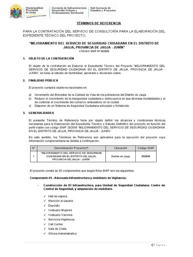 TDR SEGURIDAD CIUDADANA - FINAL Final | PDF | Presupuesto | Software