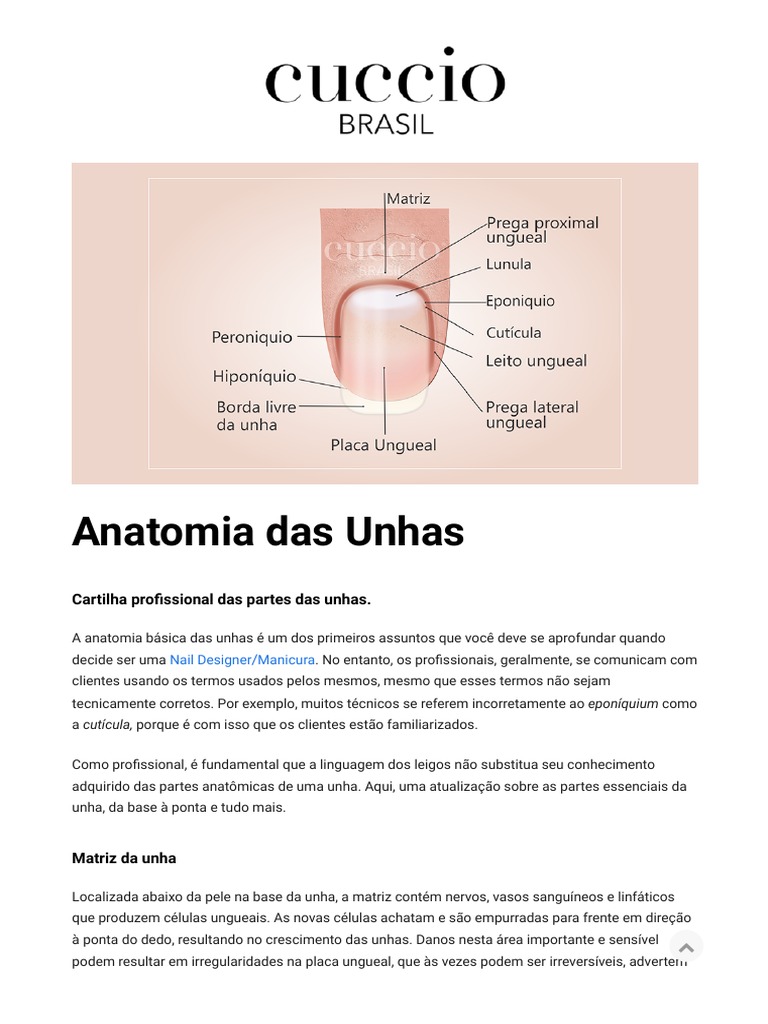 Anatomia Das Unhas | PDF | Unha | Pele