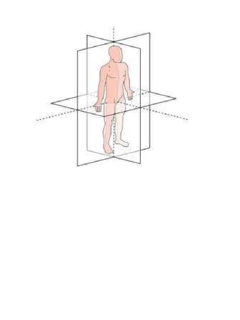 Ejes y Planos Mudo | PDF