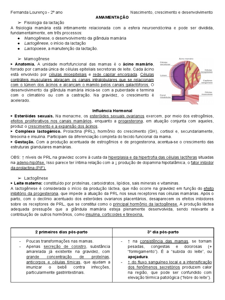 Fisiologia da lactação: processos de mamogênese, lactogênese e ...