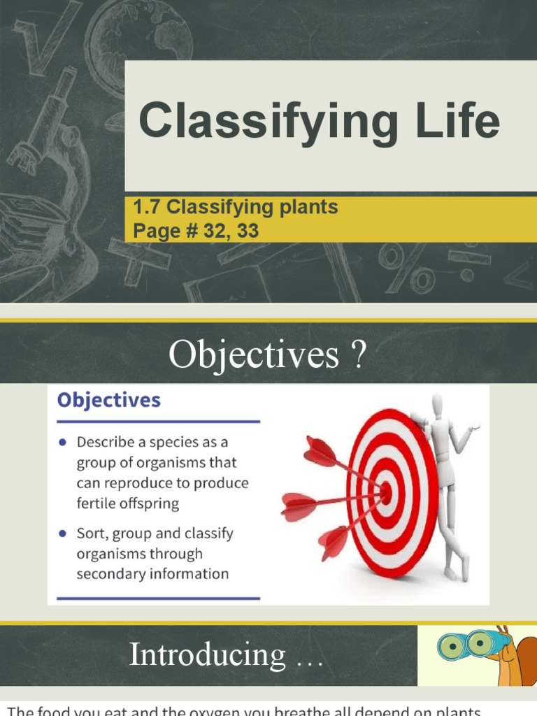 Lesson 1.7 Classifying Plants - Grade 7 | PDF | Science & Mathematics