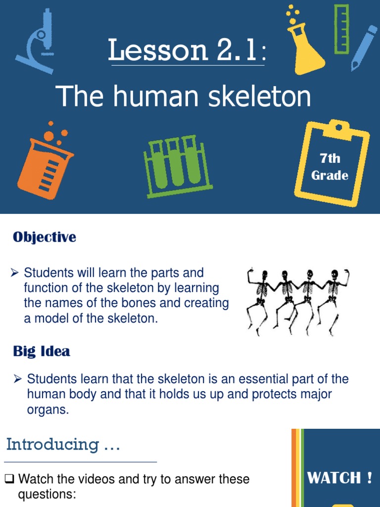 Understanding the Human Skeleton | PDF | Skeleton | Knee