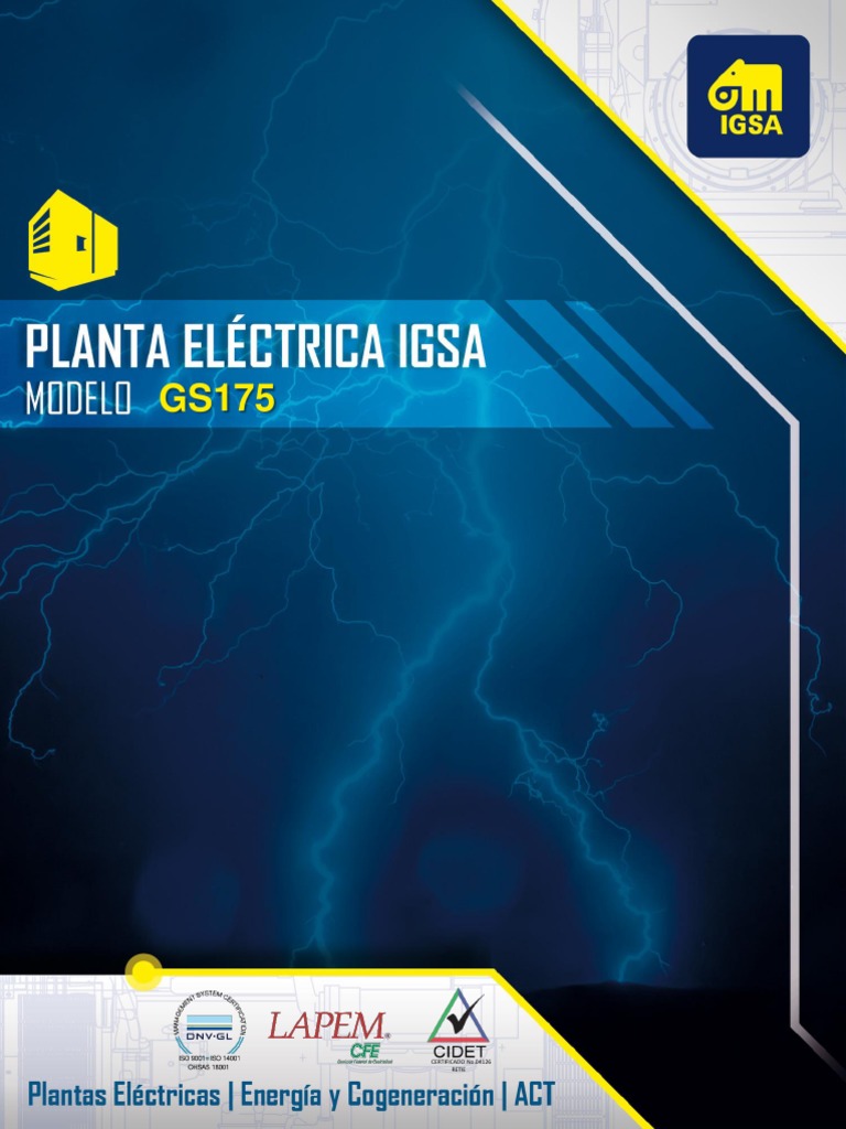 11 - Ficha Tecnica Gs175-Igsa | PDF | Generador eléctrico | Tanques