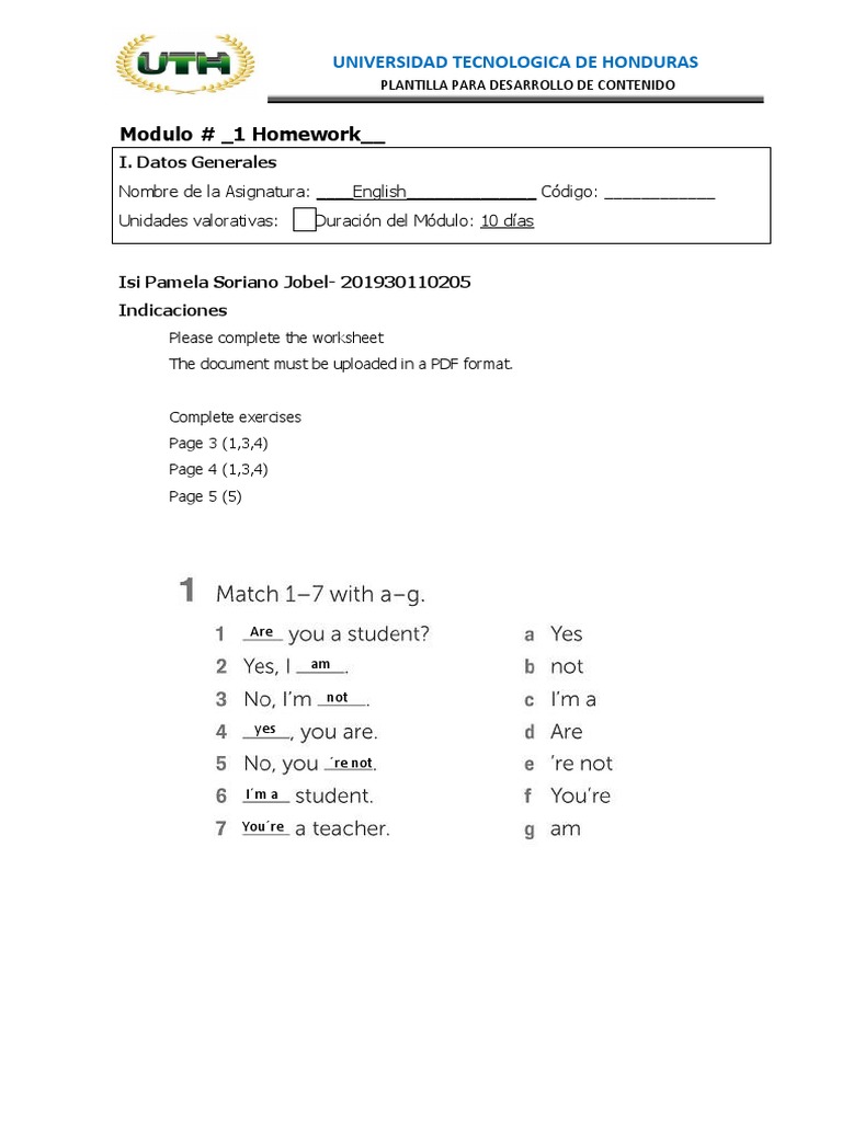 English Homework Module: Grammar, Vocabulary, and Comprehension Exercises | PDF