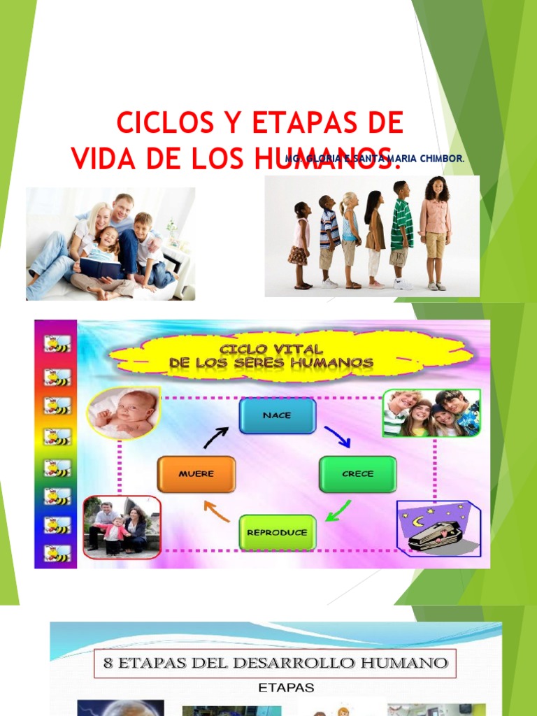 Ciclos y Etapas de Vida de Los Humanos | PDF