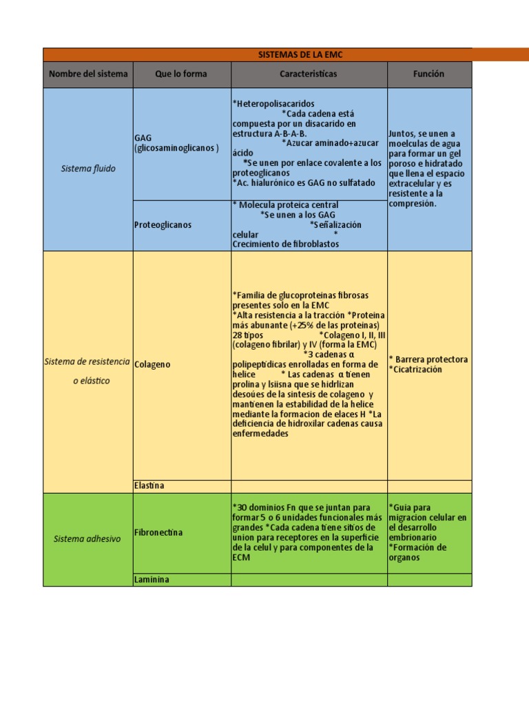 Componentes de La EMC | PDF | Colágeno | Cicatrización de la herida
