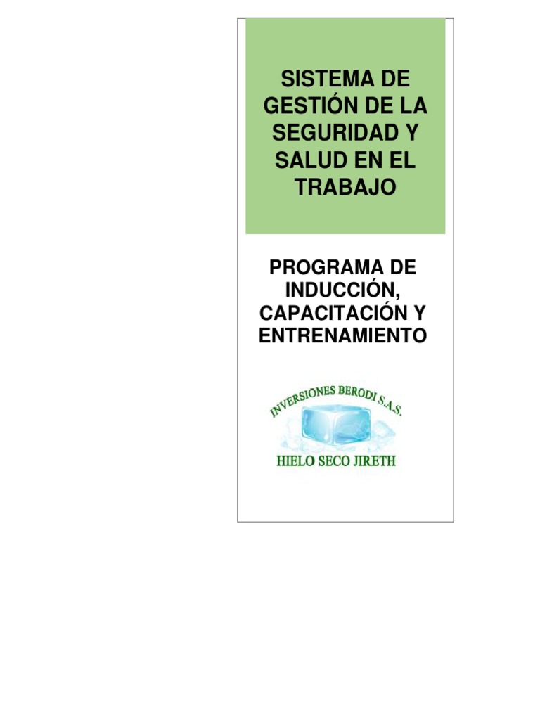 Pm-Sst-01-Programa de Capacitación y Entrenamiento en SST | PDF ...