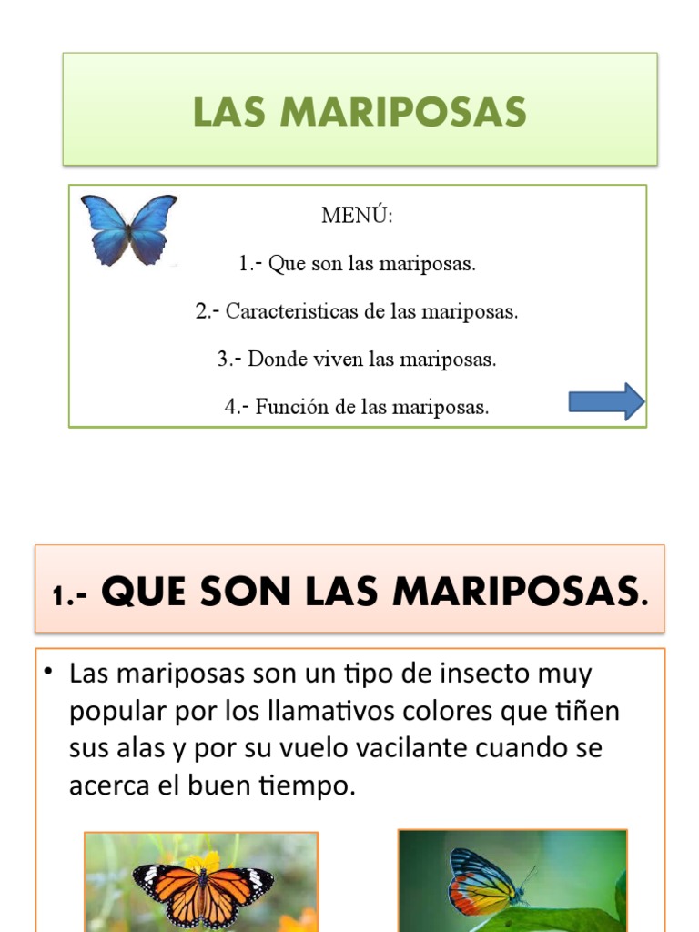 Las Mariposas | PDF | Hogar, jardinería y bricolaje