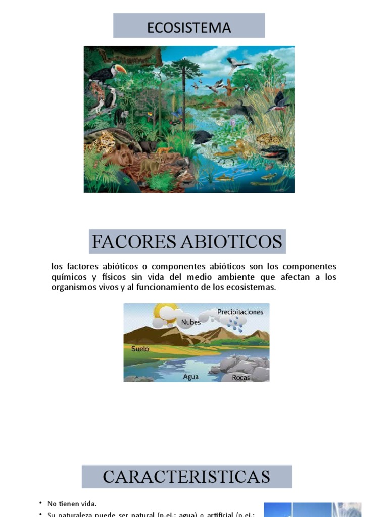Factores Bióticos y Abióticos en Ecosistemas | PDF | Ecosistema ...